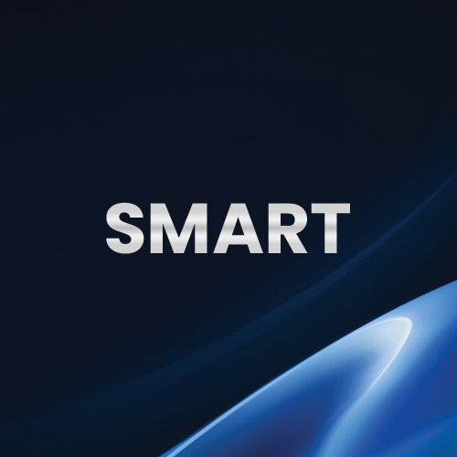 Smart Oem